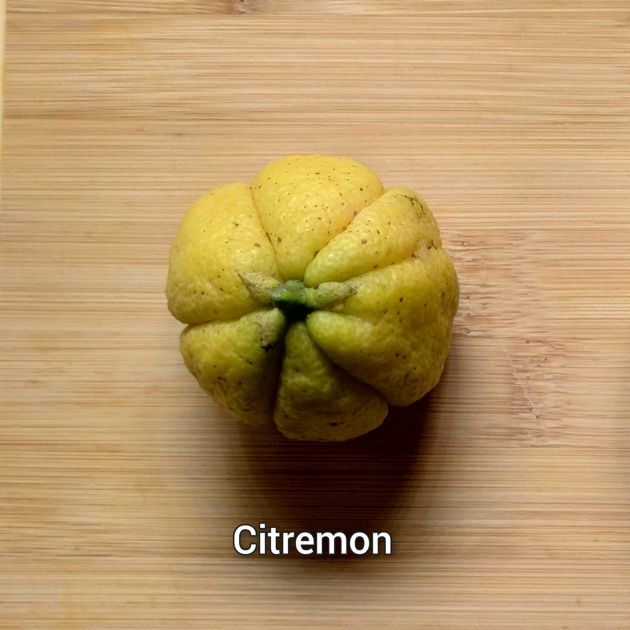 Hardy Lemon Trees – The Mulberries